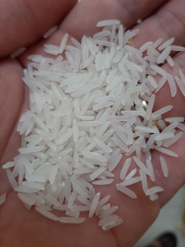 Gạo Thơm Lài Miên Giá Bảo Nhiều - Robins