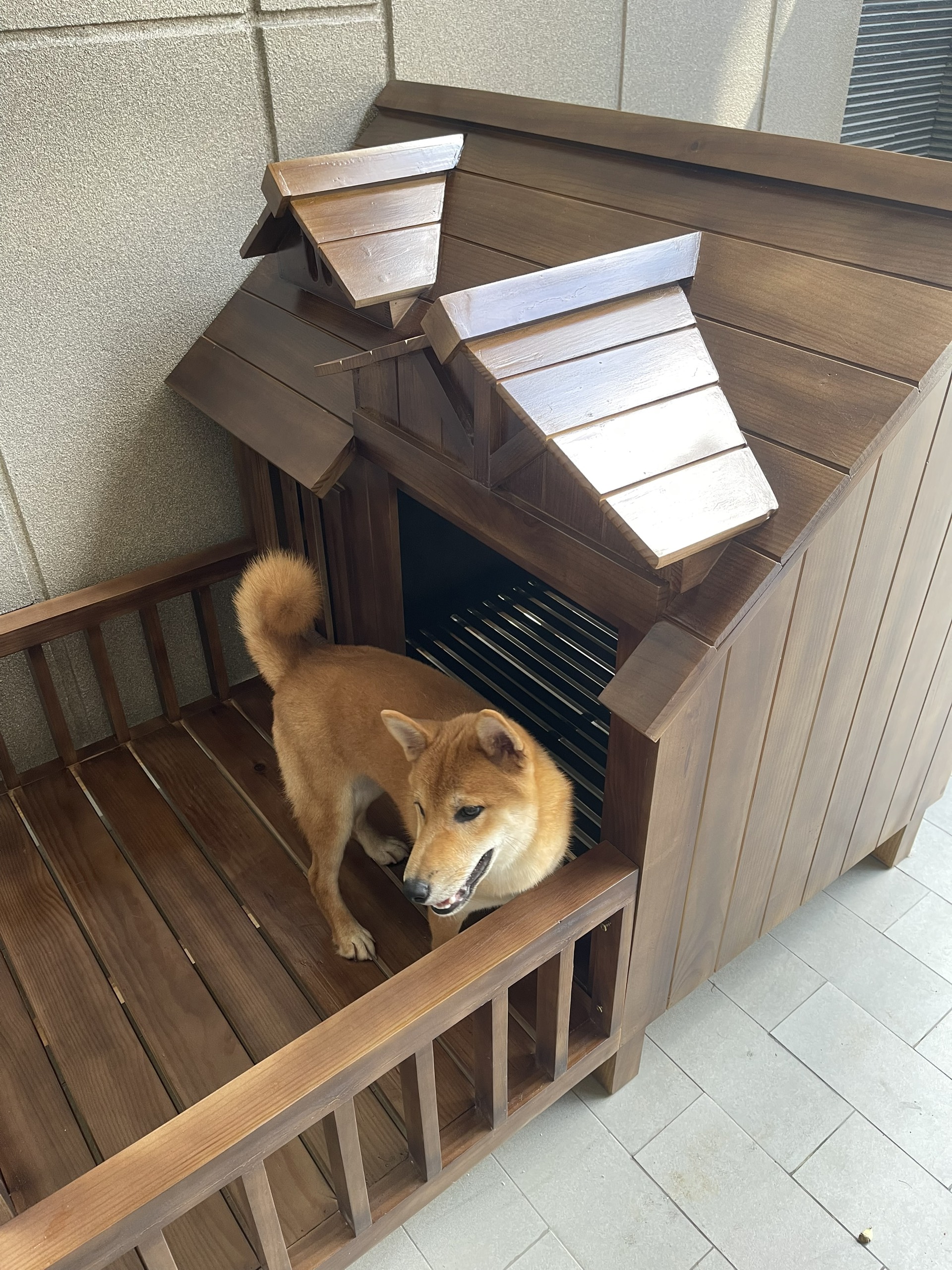 Nhà Cho Chó Đẹp - Robins